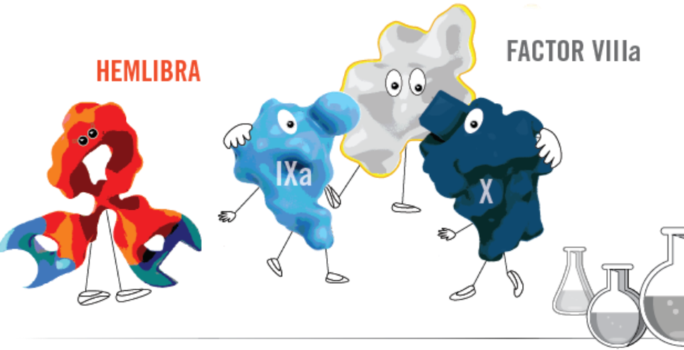 How HEMLIBRA® (emicizumab-kxwh) Works
