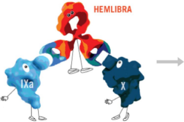 How HEMLIBRA® (emicizumab-kxwh) Works
